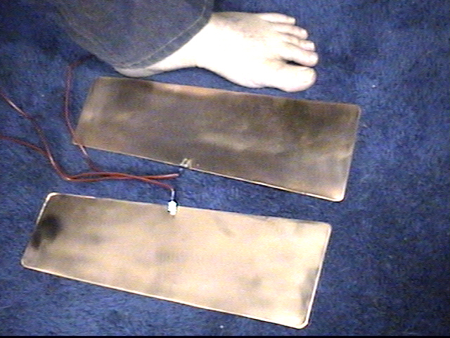 ParaZapper: Dr. Hulda Clark Zapper Parasite Zapper